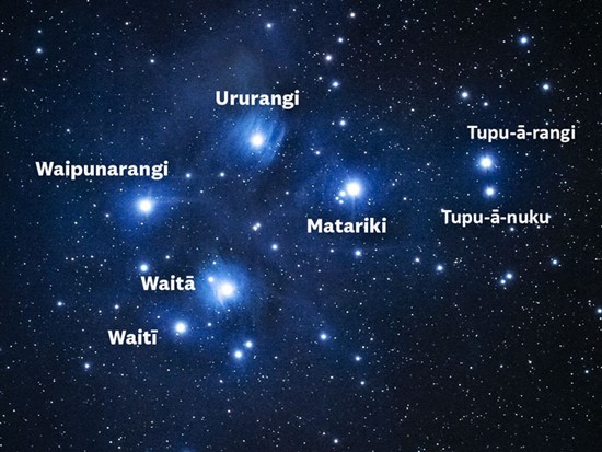 Meg Languages